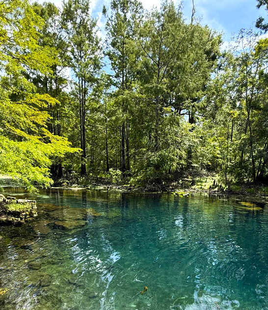 clear crystal springs florida ftr