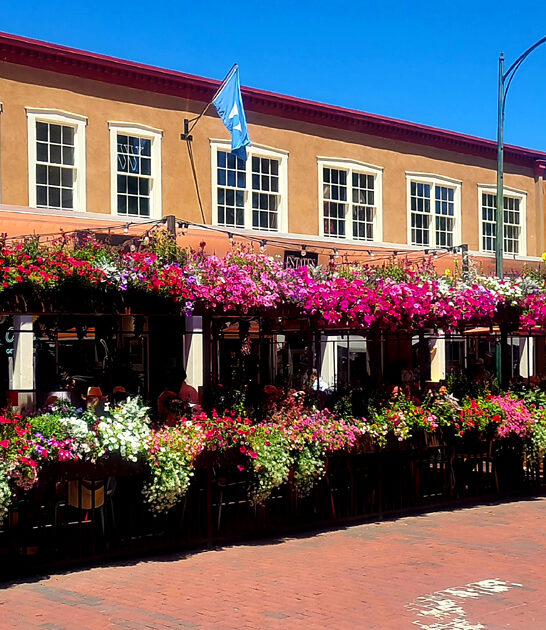 coconut pie new mexico ftr