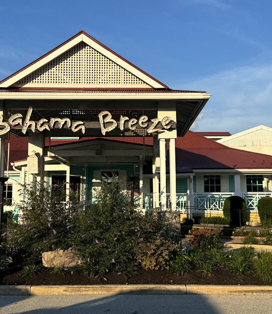 coconut shrimp restaurant pennsylvania ftr