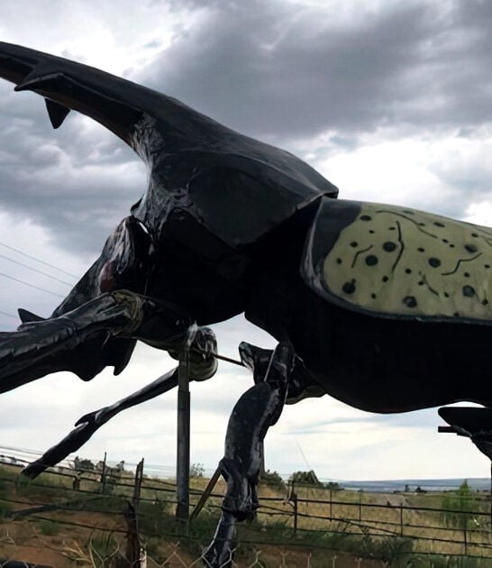 colorado fascinating roadside attraction ftr