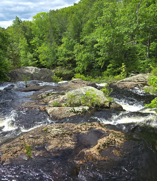 connecticut state park trip ftr