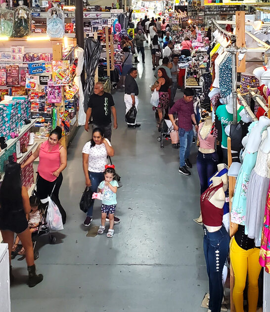 coolest cheap market maryland ftr