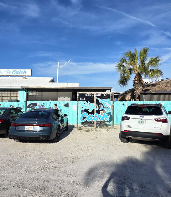 cozy florida restaurant calamari ftr