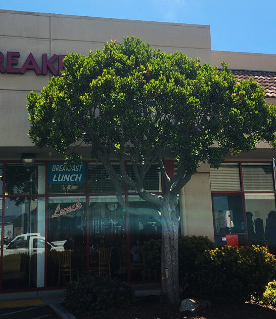 crab benedict diner california ftr