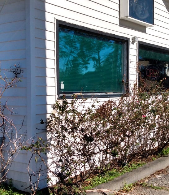 crispiest chicken south carolina ftr