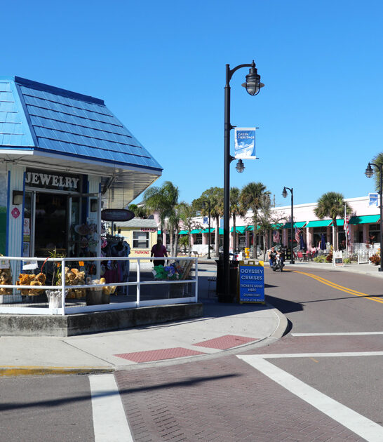 day trips florida perfect ftr