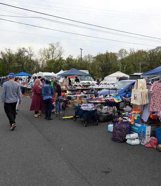 deals enormous maryland market ftr