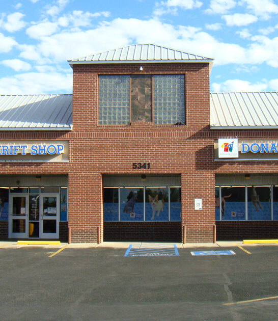 deals new mexico hunt ftr