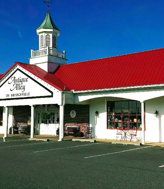 delaware enormous antique store ftr