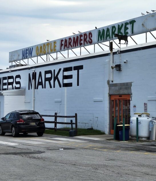 delaware flea market shopping ftr