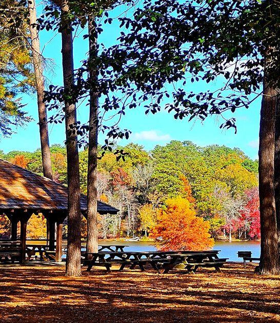 delaware picturesque incredible parks ftr