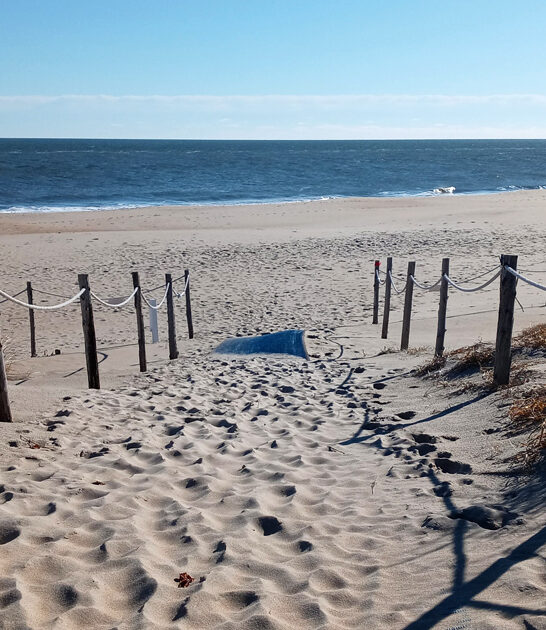 delaware serene state park ftr