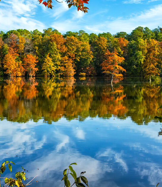 delaware underrated nature parks ftr