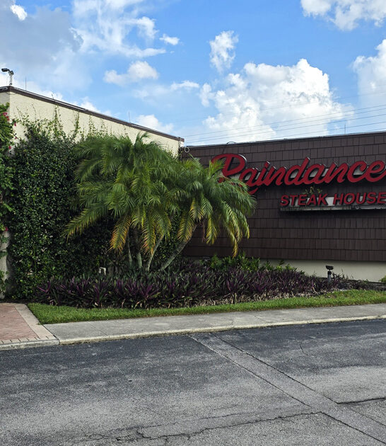 delmonico steak florida delicious ftr