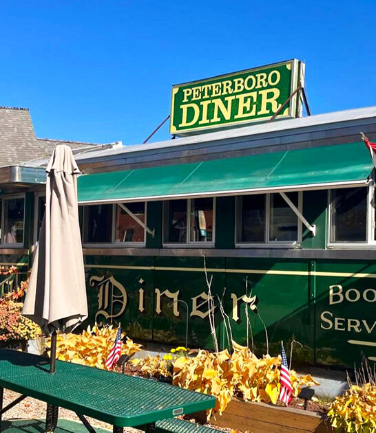 diner delights new hampshire ftr