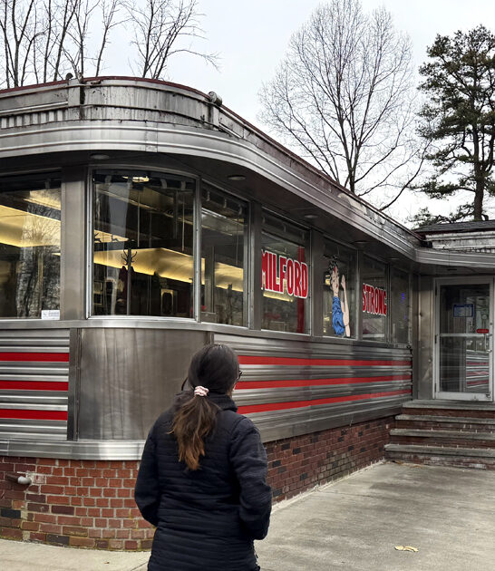 diner pennsylvania onion rings ftr