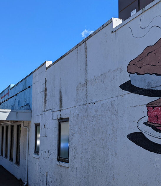 diner washington home fries FTR