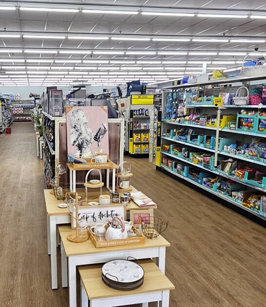 dollar store tennessee bargains ftr