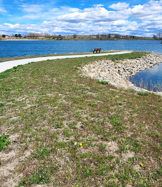 dream like park montana ftr