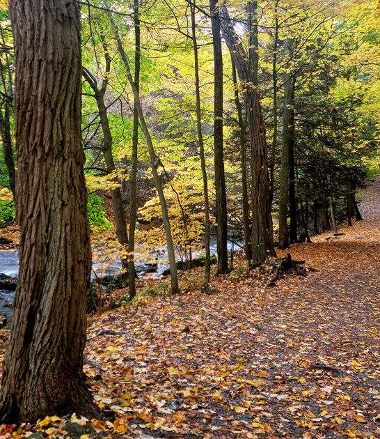 dream massachusetts state parks ftr