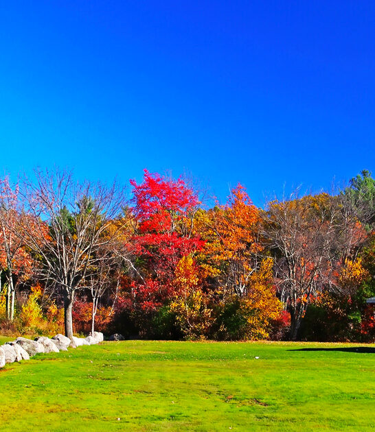 dream park rhode island ftr