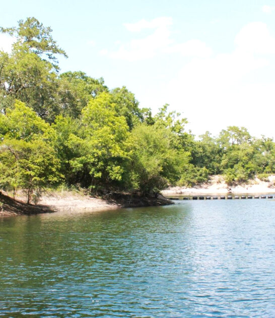 dream spring florida natural ftr