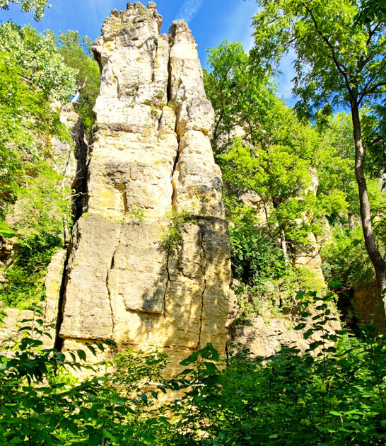 dream state parks illinois ftr