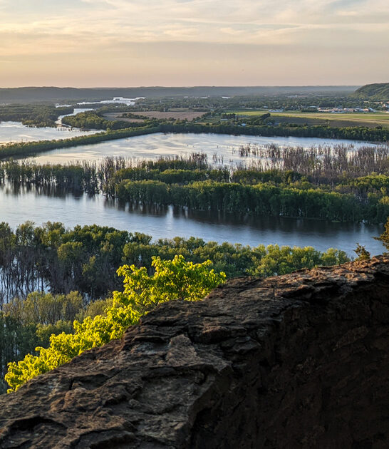 dream wisconsin lovers state ftr