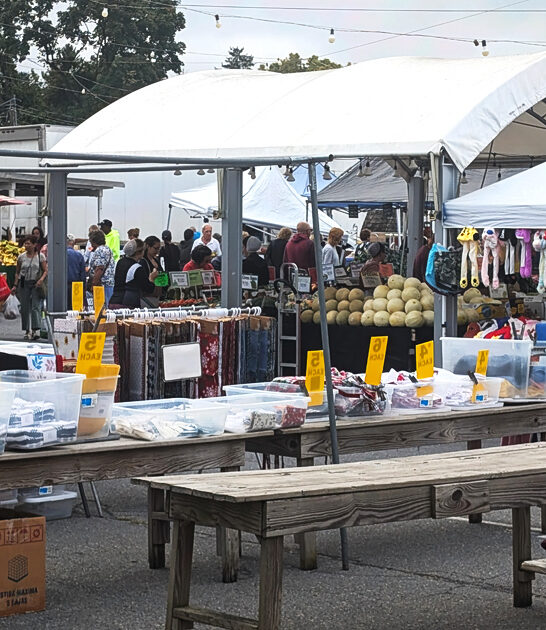 dreamiest swap meet pennsylvania ftr