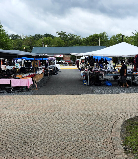 dreamiest treasure hunt pennsylvania ftr
