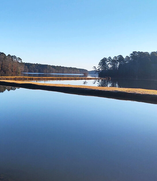 dreamy arkansas state park ftr
