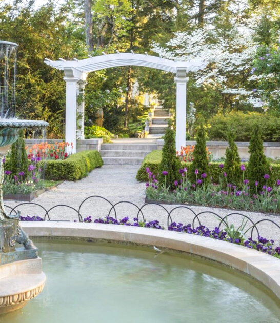 dreamy garden indiana novel FTR