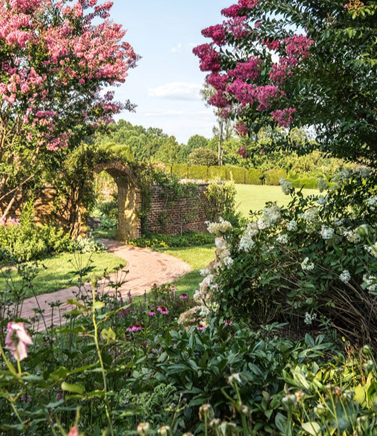 dreamy garden maryland novel FTR