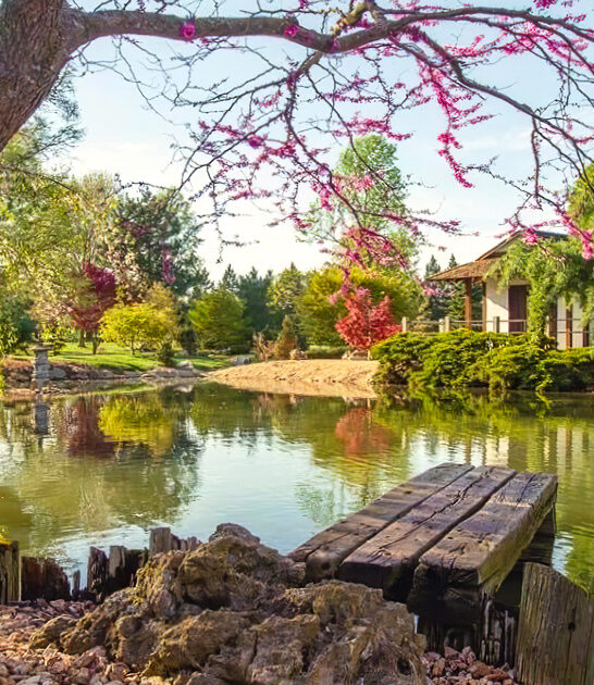 dreamy garden missouri novel FTR