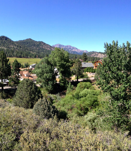 dreamy mountain trip california FTR