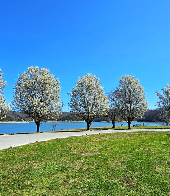 dreamy park delightful kentucky ftr
