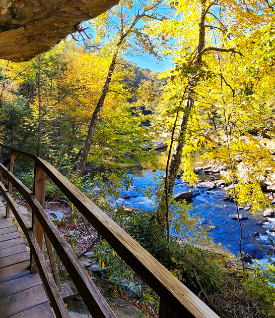 dreamy park west virginia ftr