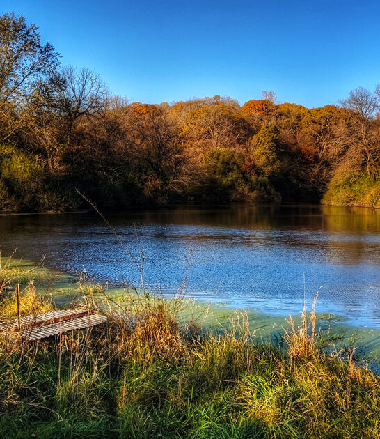 dreamy state iowa day ftr