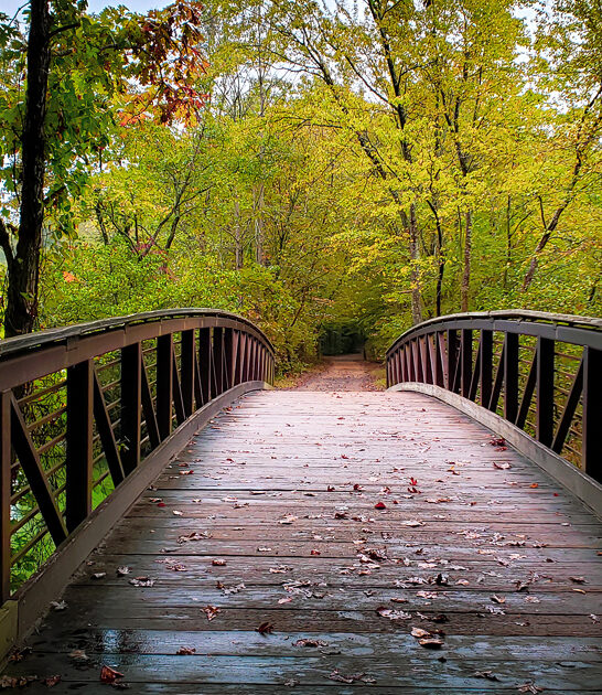 dreamy state parks delaware ftr