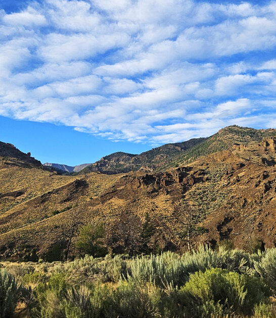 dreamy state parks wyoming ftr