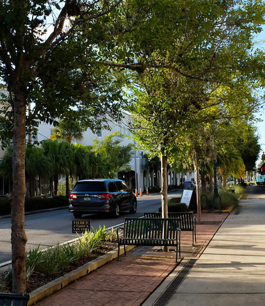 dreamy towns florida trip ftr