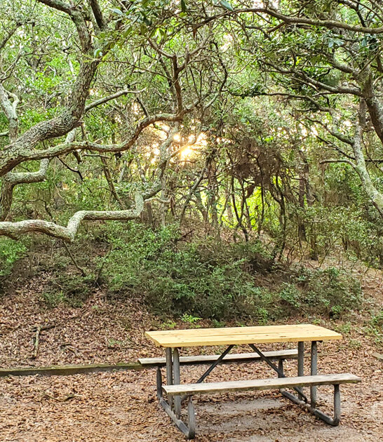 dreamy virginia painting park ftr