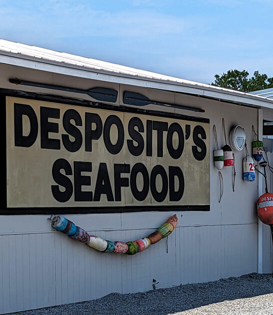 drive georgia seafood restaurant FTR