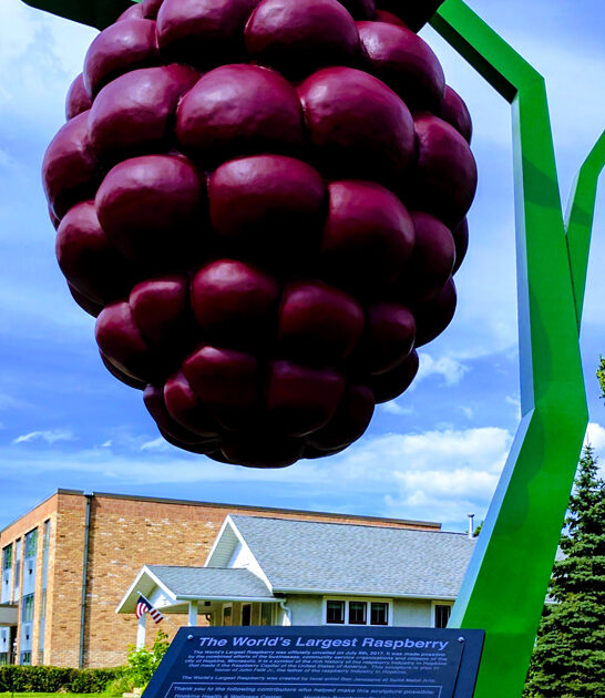 drive minnesota roadside attraction FTR