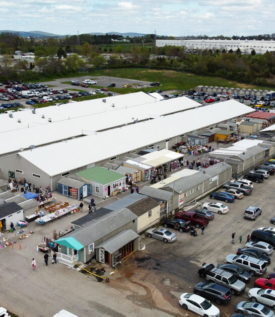 drive pennsylvania crazy bargains ftr