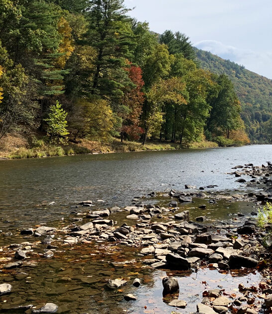 drive state pennsylvania park ftr