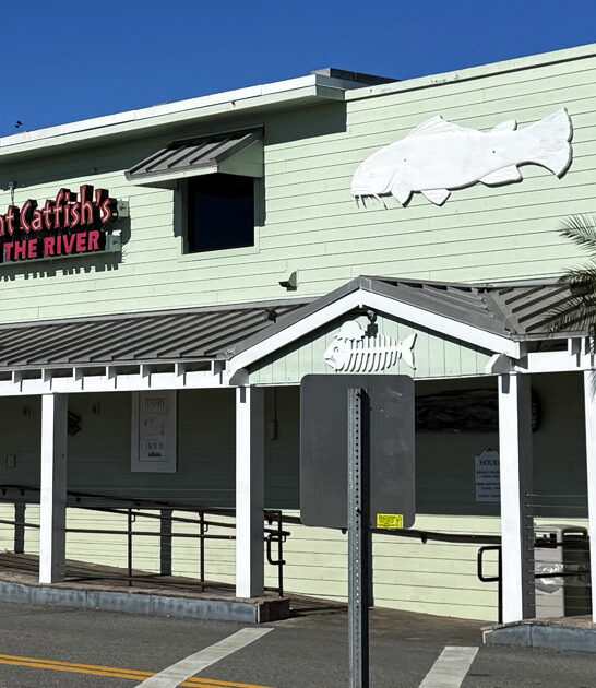 drive unassuming cafe florida ftr