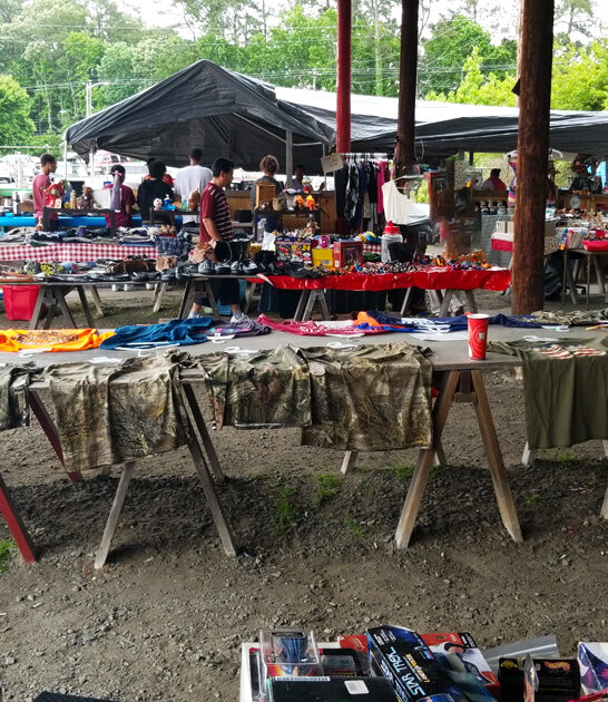 drive virginia crazy bargains ftr