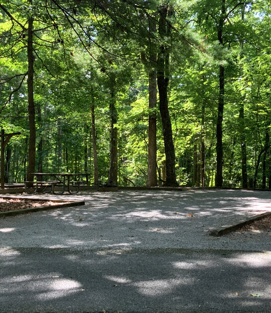 drives virginia parks postcard ftr