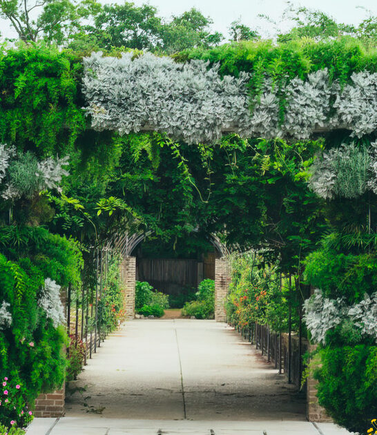 enchanted garden trip louisiana ftr